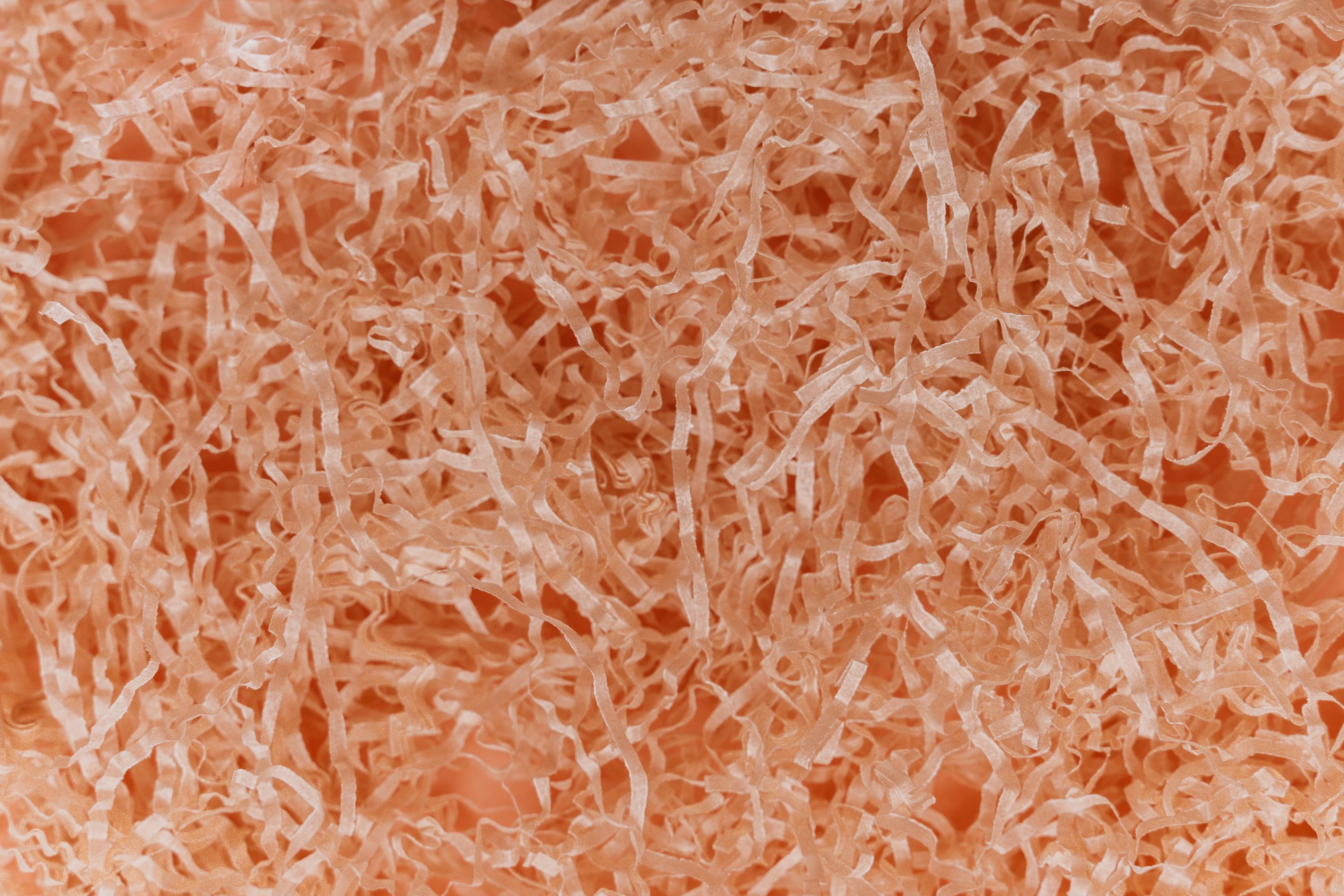 Simply Shred | Leading Paper Shredding & Corporate Shredding Companies UK